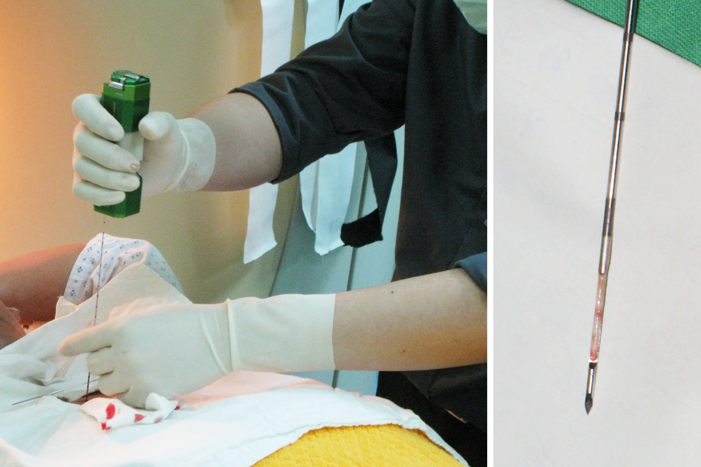 05_get_tissue | 蔡依橙